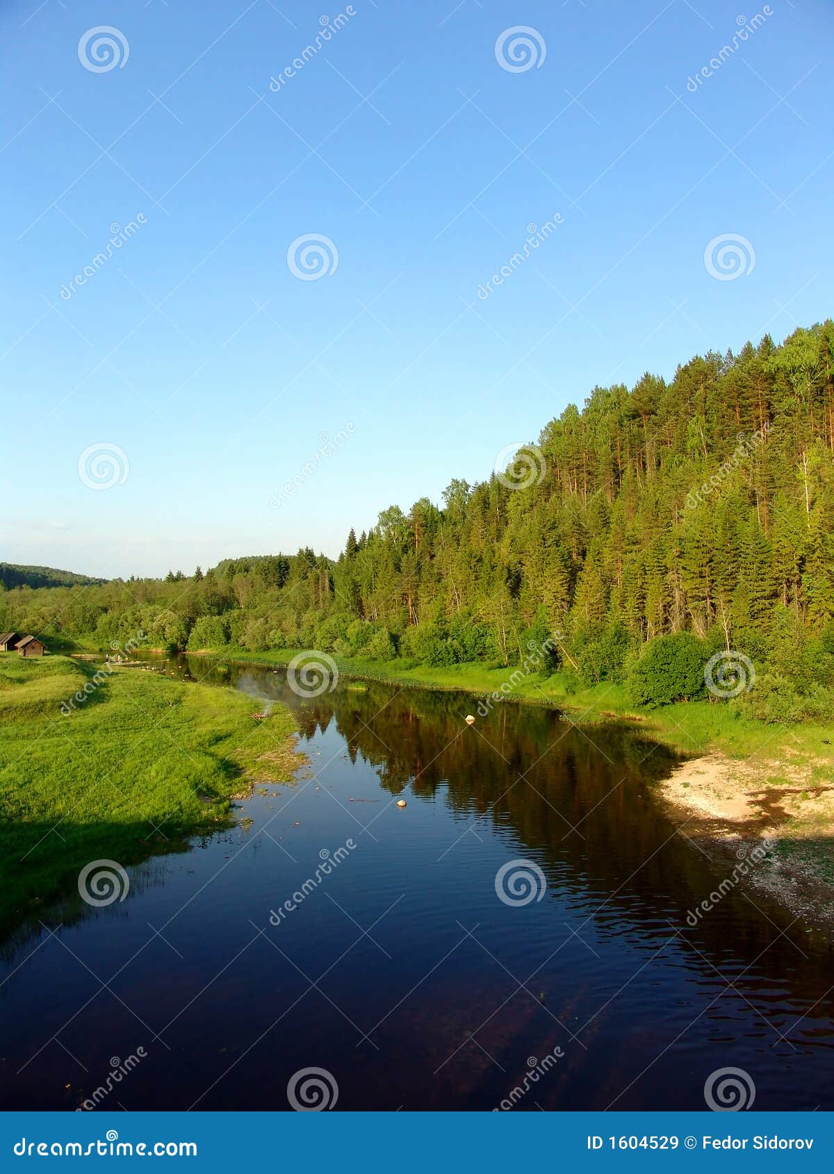 Bos rivier 5 stock afbeelding. Image of rust, schoon, rivier - 1604529