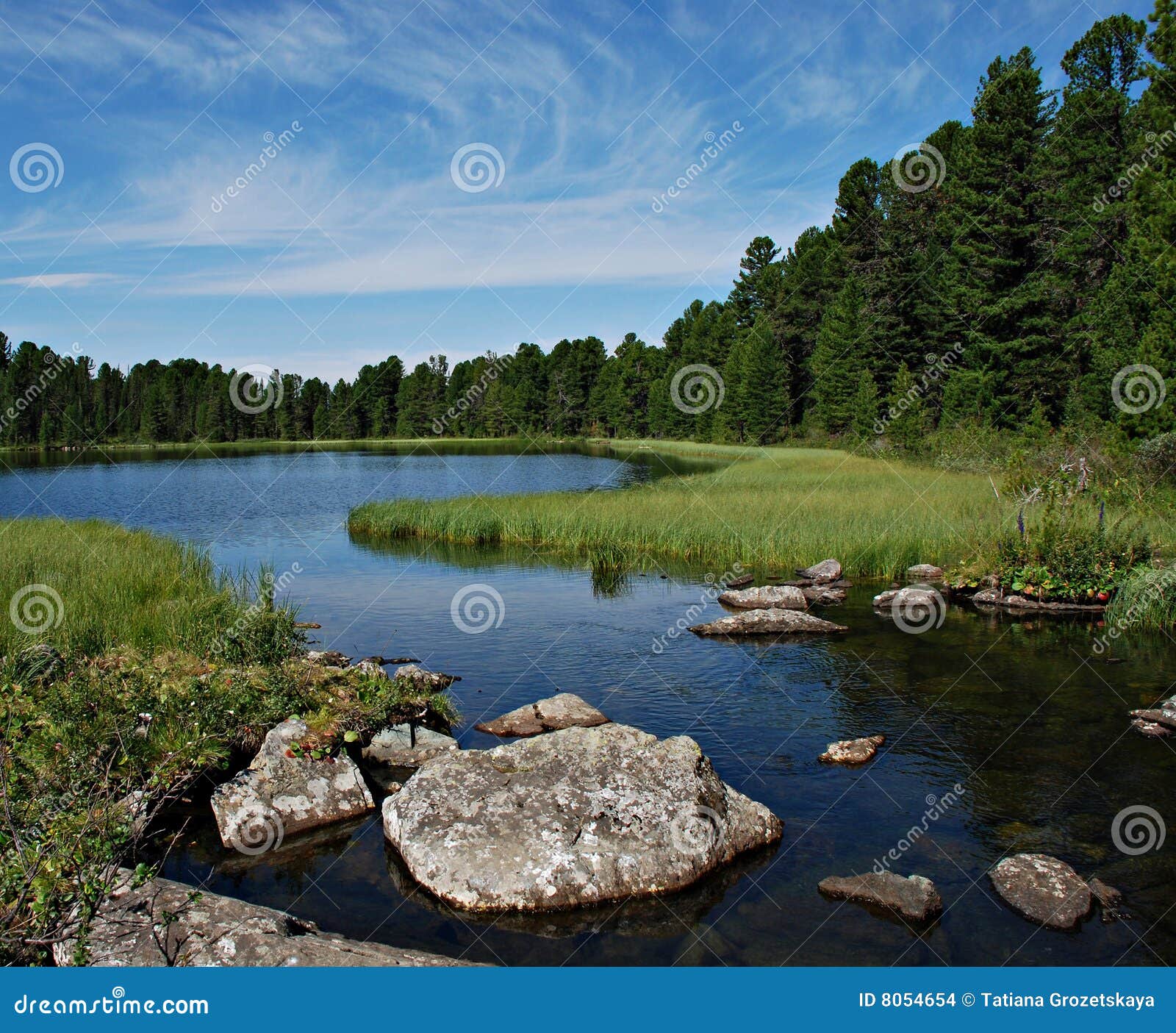 Bos rivier stock foto. Image of openlucht, siberië, rivierbedding - 8054654