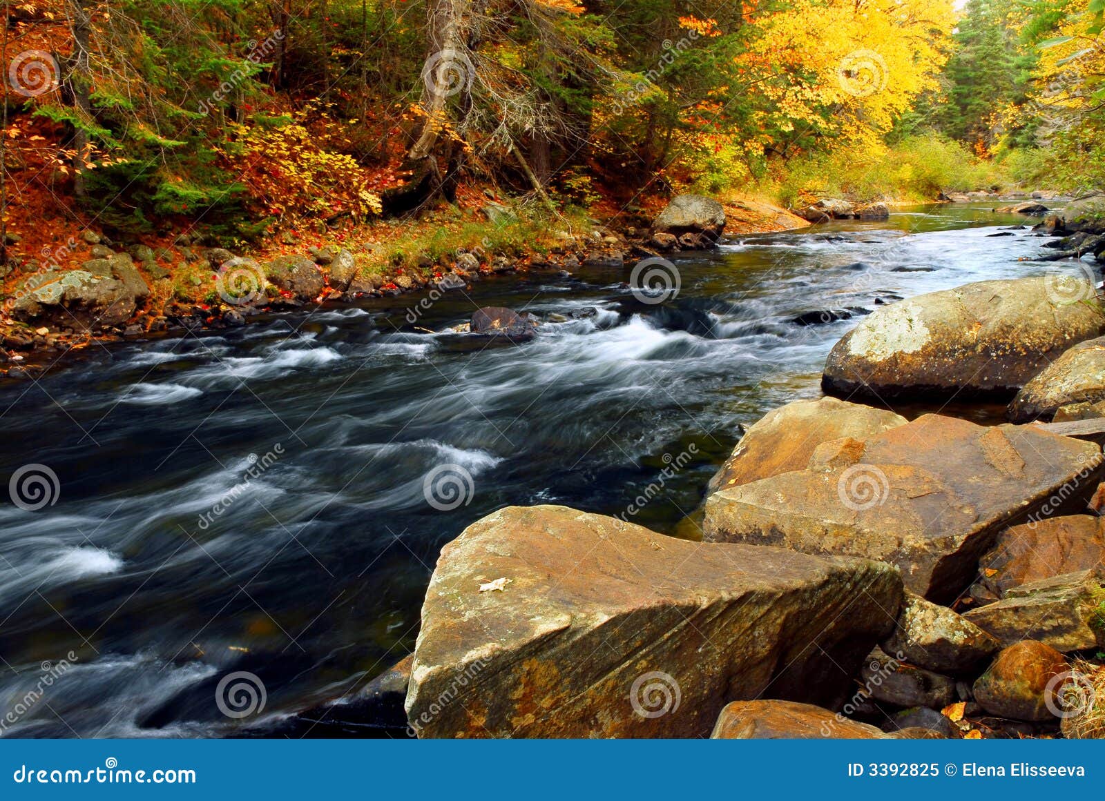 Bos rivier in de herfst stock afbeelding. Image of snel - 3392825