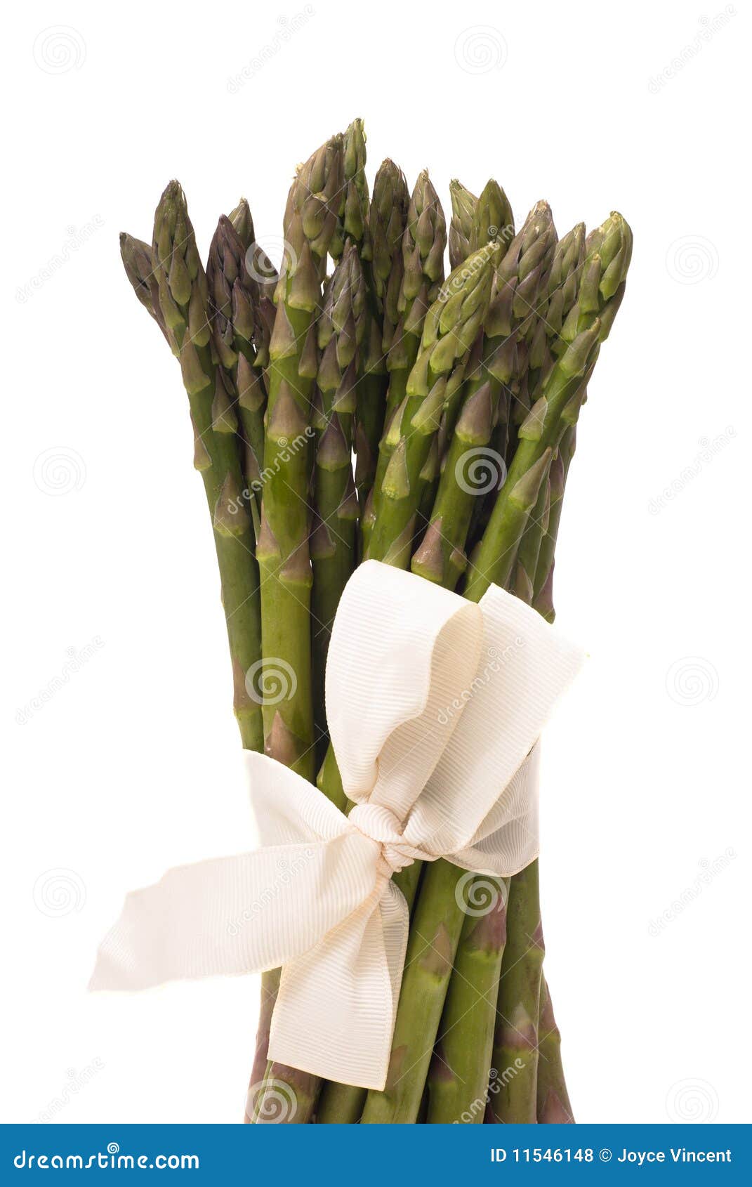 Bos van Asperge op wit stock foto. Image of stijl, smakelijk - 11546148