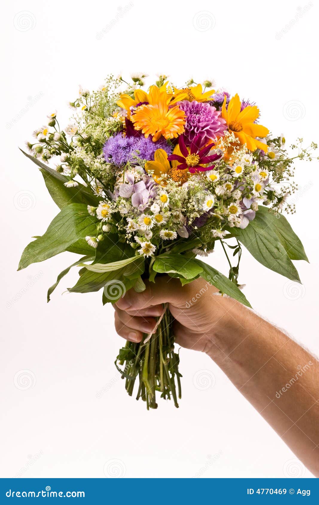 Bos van bloemen stock afbeelding. Image of cadeau, poep - 4770469