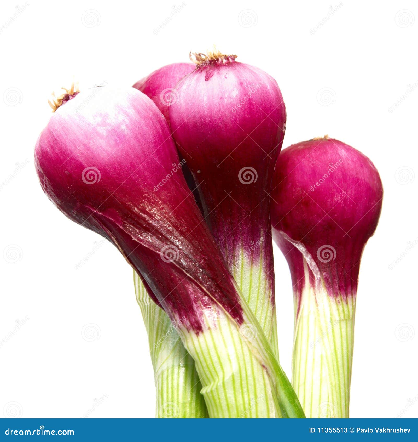 Bos van jonge uien stock afbeelding. Image of maaltijd - 11355513