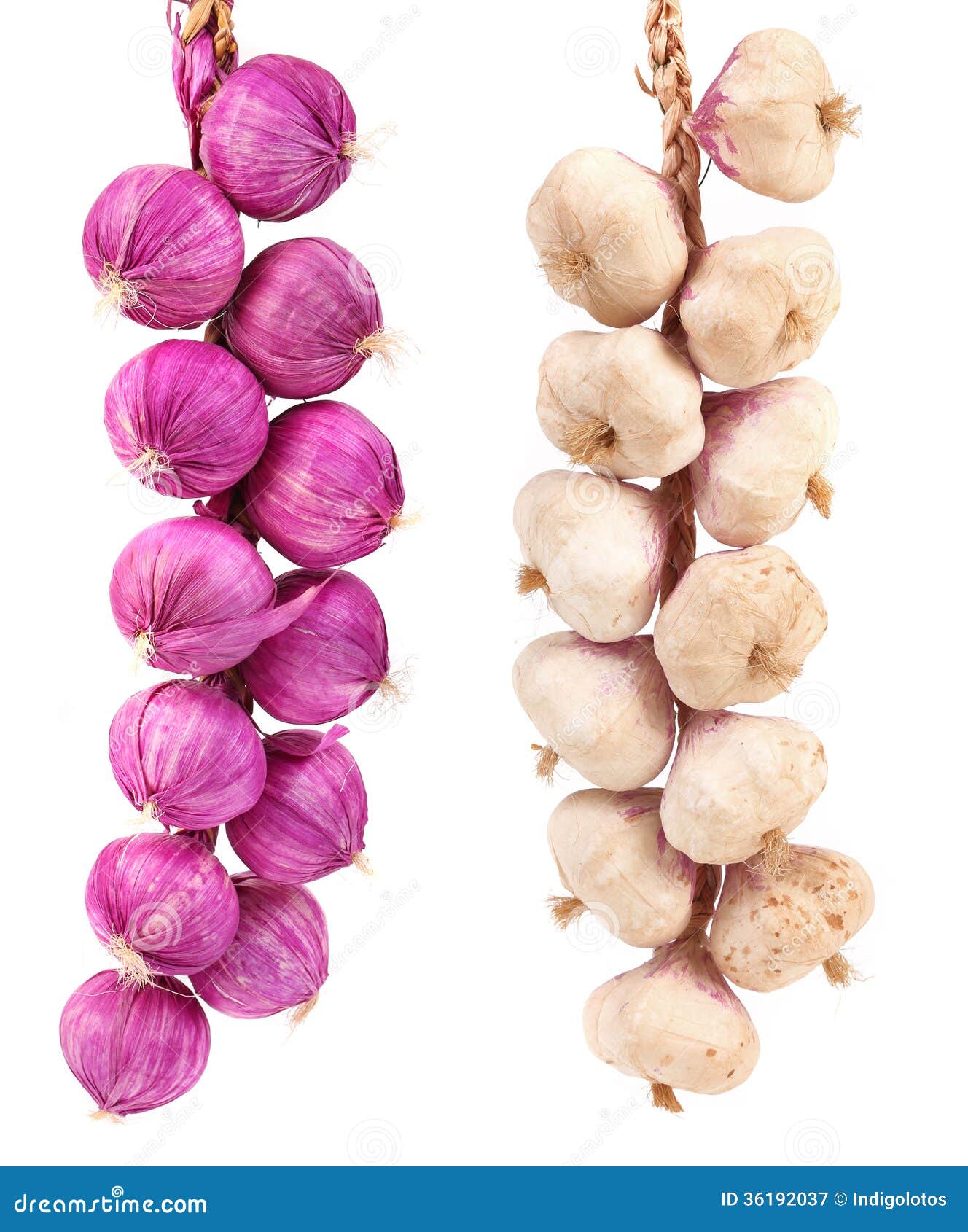 Bos van rode en witte ui. stock afbeelding. Image of rood - 36192037