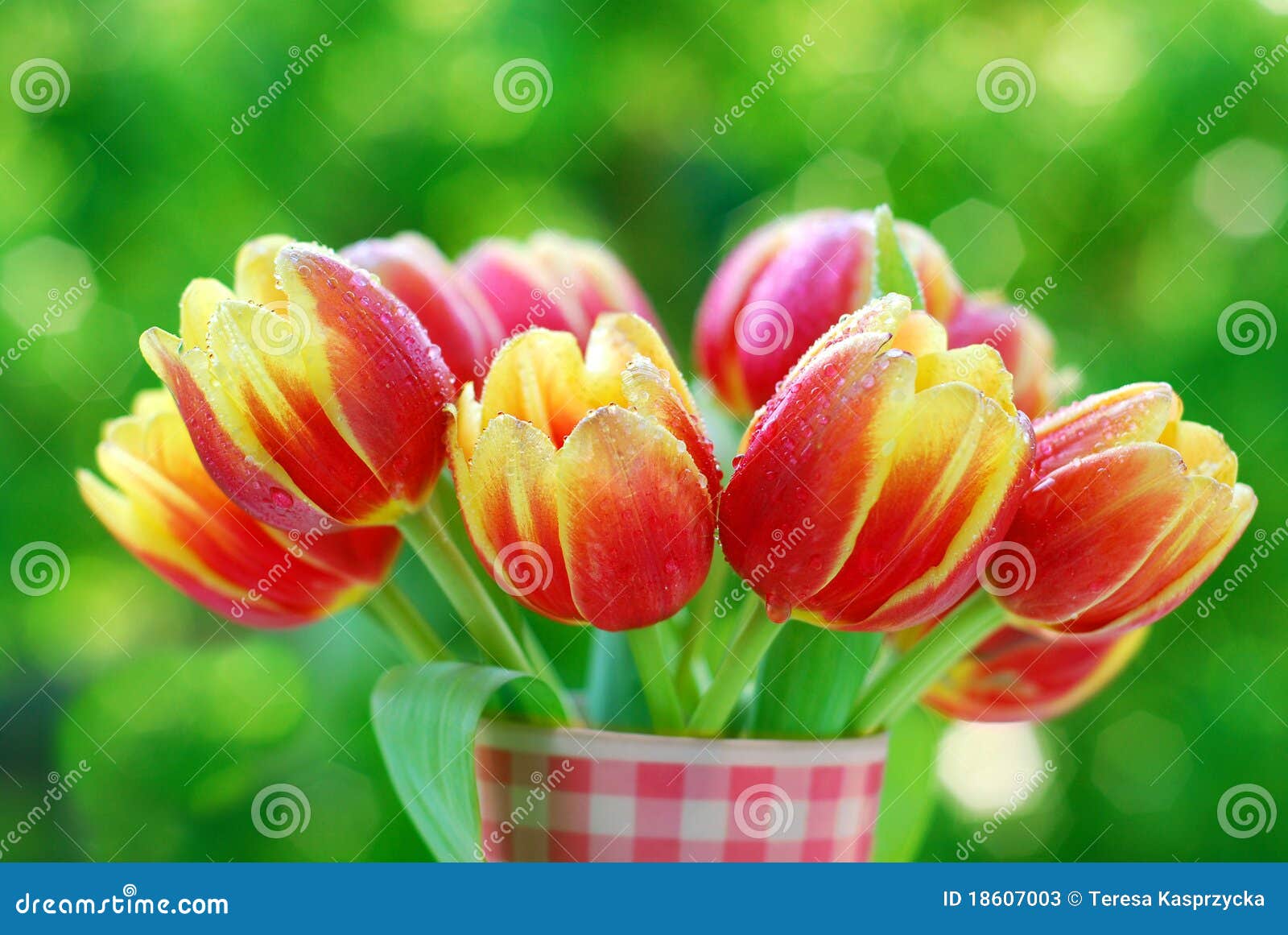 Bos van rode gele tulpen stock afbeelding. Image of tulp - 18607003