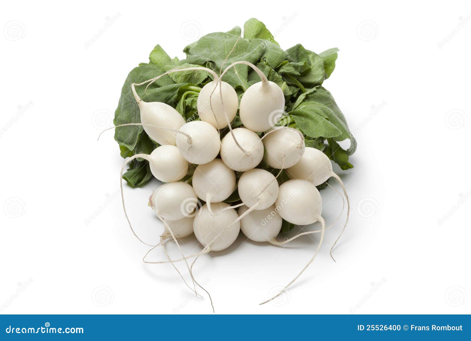 Bos van witte radijs stock foto. Image of aroma, achtergrond - 25526400