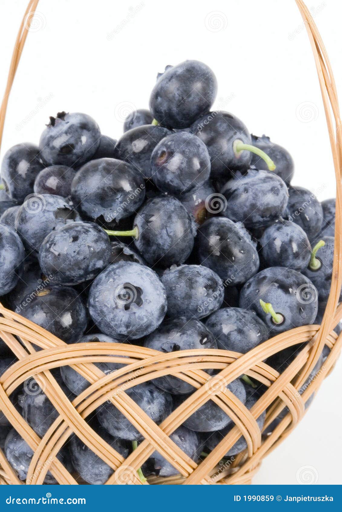 Bosbessen Picture. Image: 1990859