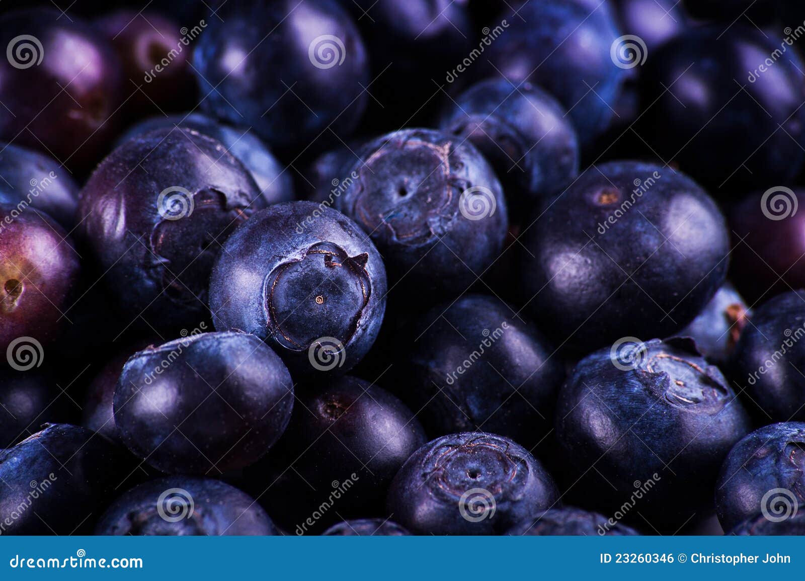 Bosbessen stock foto. Image of bosbessen, bessen, voedsel - 23260346