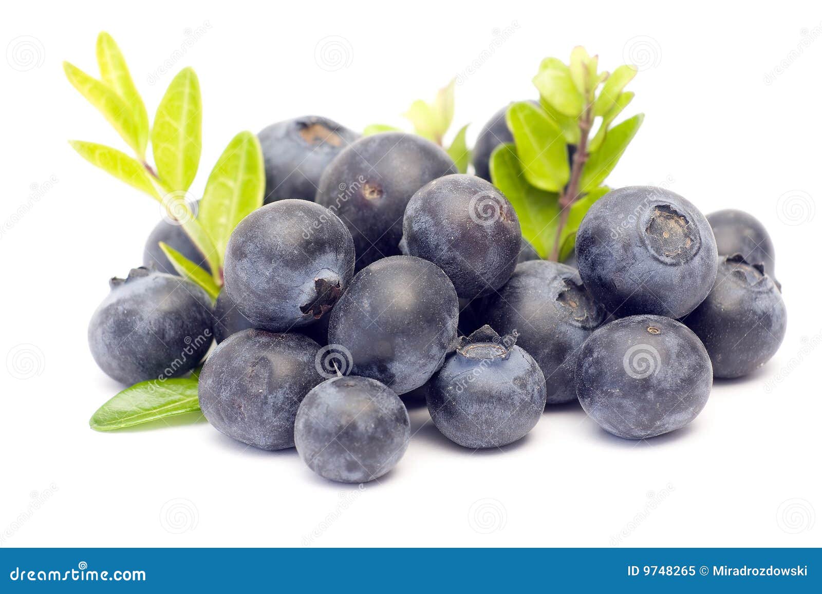 Bosbessen stock afbeelding. Image of calorie, geïsoleerd - 9748265