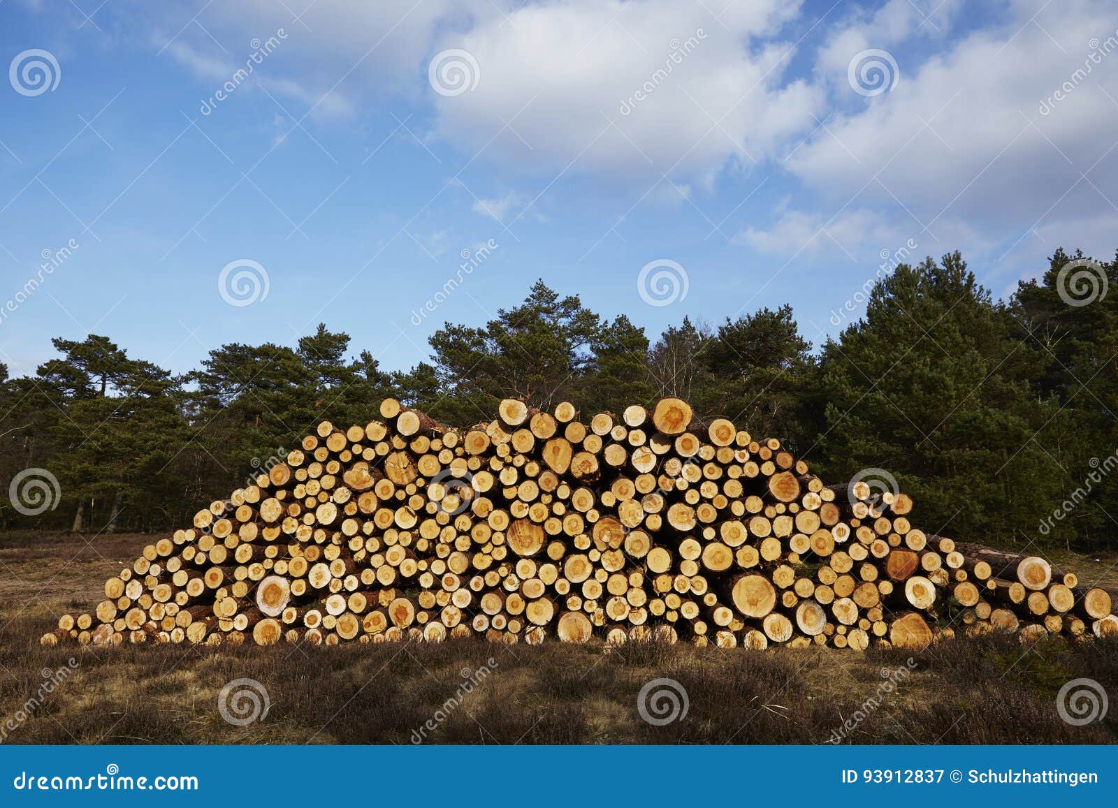 Bosbouw - Stapel Van Boomstammen Stock Afbeelding - Image of bouten ...