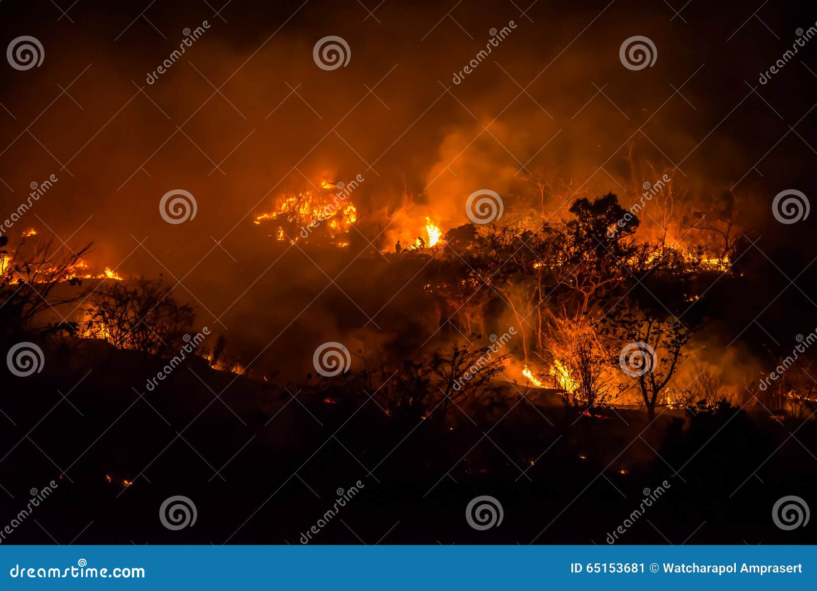 Bosbranden stock afbeelding. Image of uitbarsting, samenvatting - 65153681