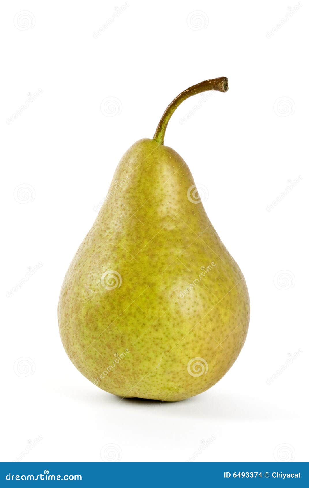 Bosc Pear stock photo. Image of green, isolated, autumn - 6493374