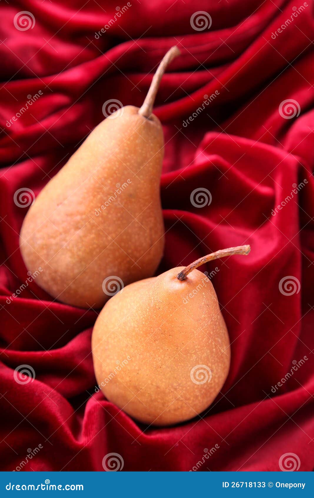 Bosc Pears stock image. Image of bosc, studio, healthy - 26718133