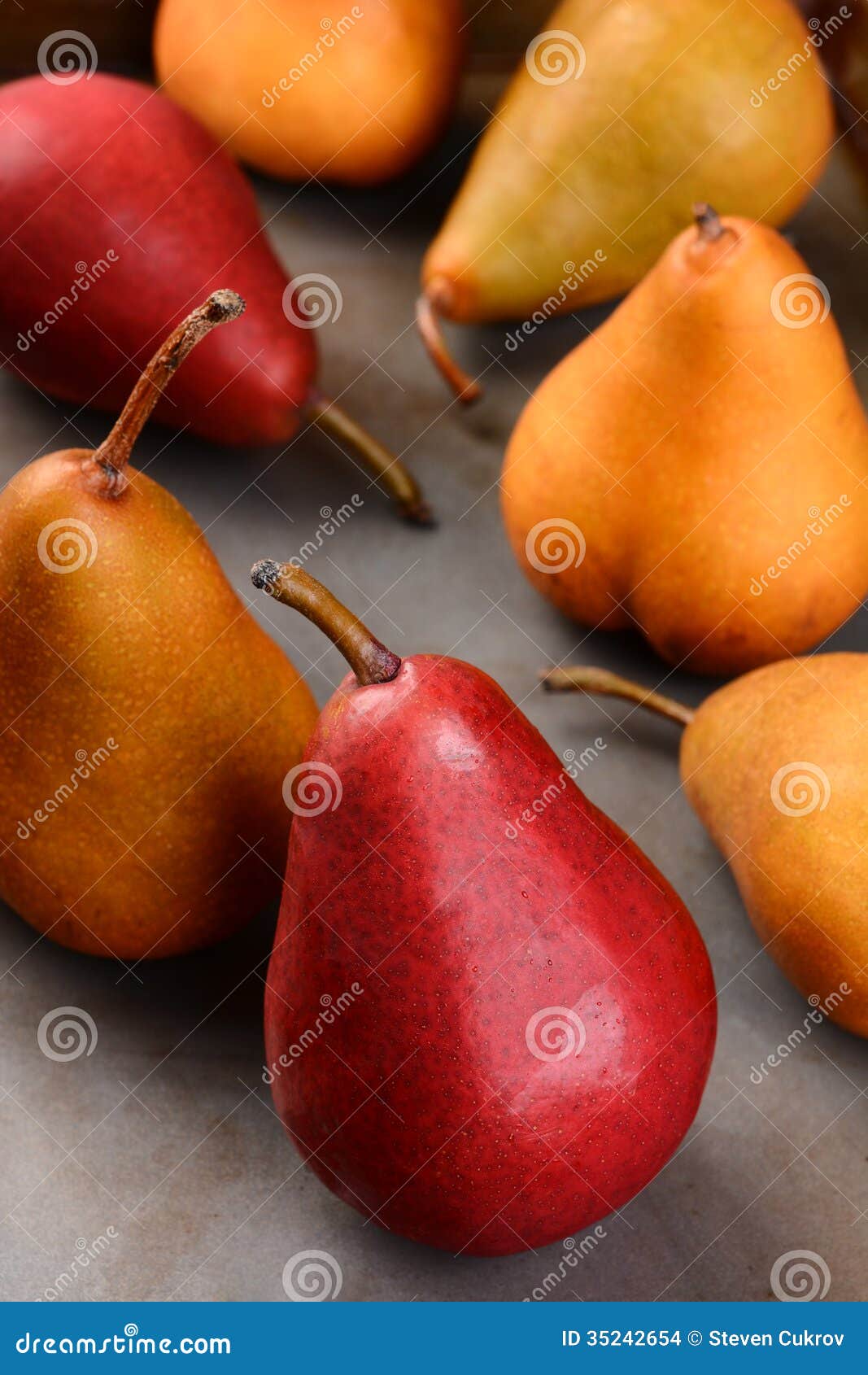 Bosc and Red Pears Closeup stock photo. Image of close - 35242654