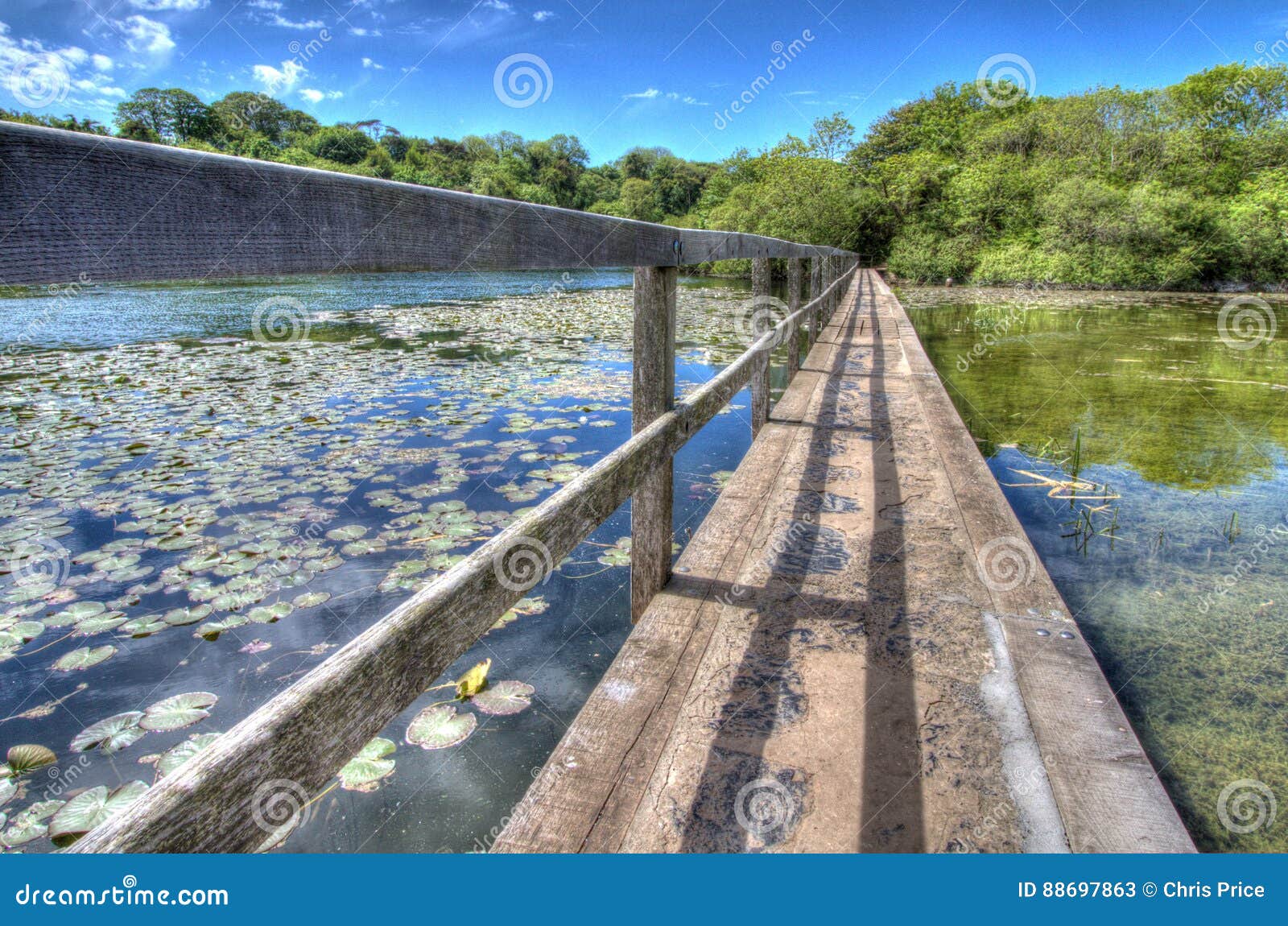 Bosherton Lakes, Stackpole, Pembrokeshire Stock Image - Image of ...