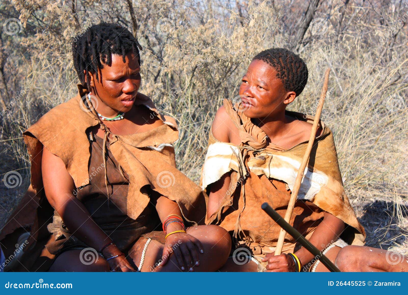 Bosjesman redactionele afbeelding. Image of traditie - 26445525