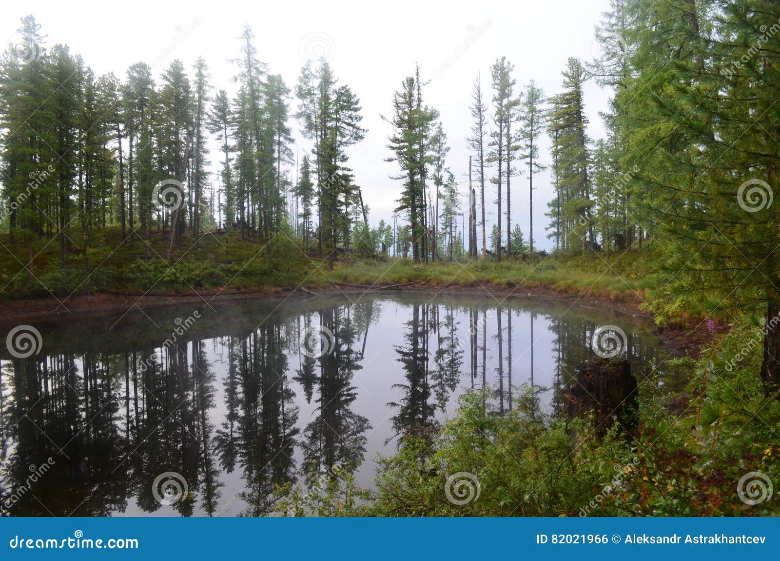 Bosmeer Vlot Als Spiegel Van Water Stock Foto - Image of alaska, nave ...