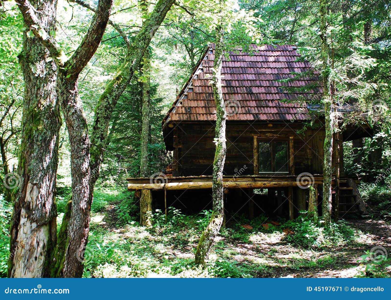 Bosnian Forest Hut stock image. Image of leaf, rustic - 45197671