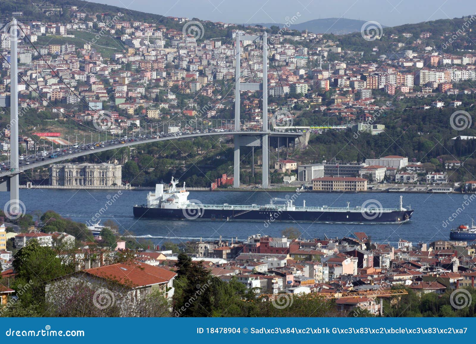 Bosphorus Bridge stock photo. Image of turkish, islam - 18478904