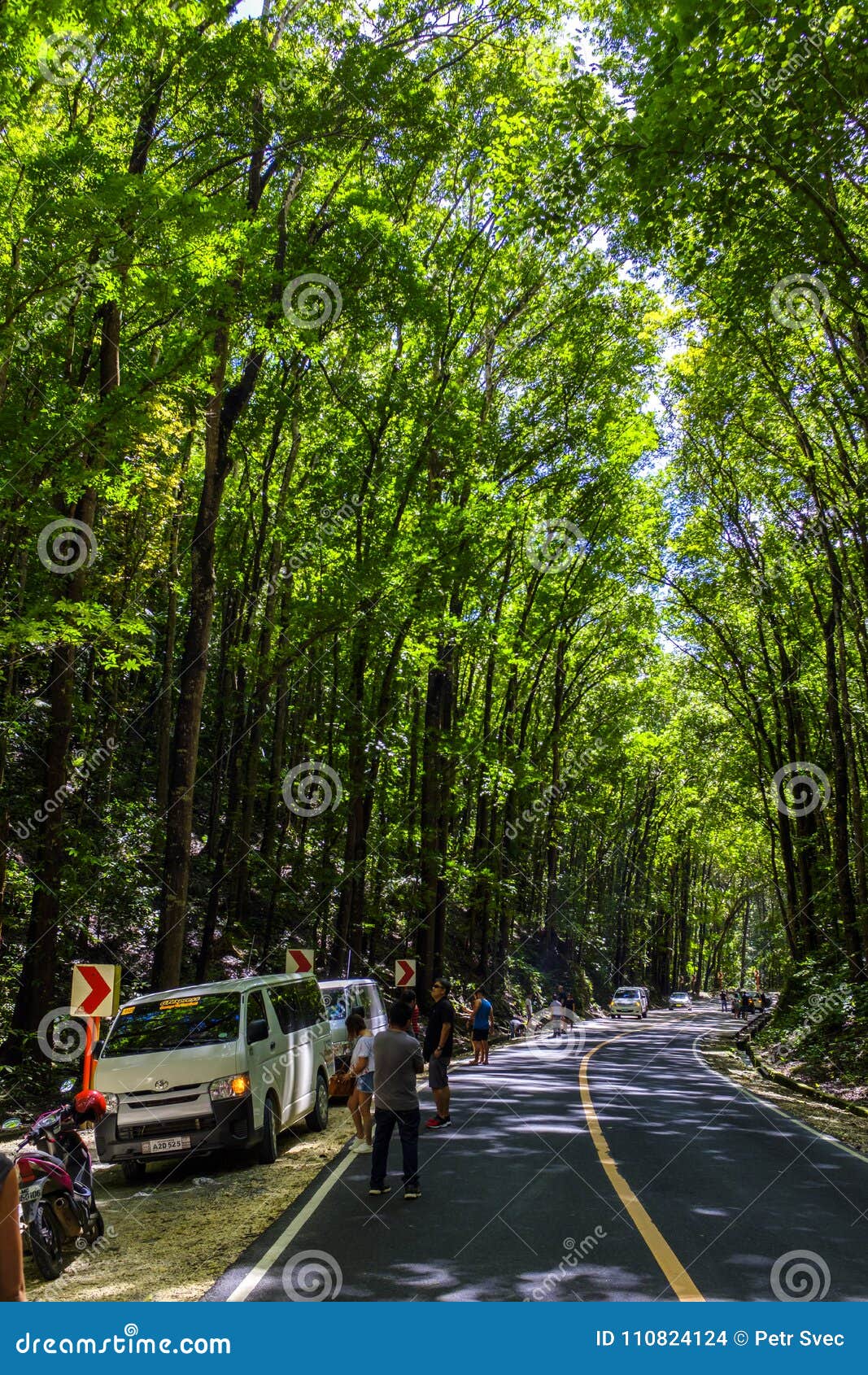 Bosque Artificial De Bilar En Bohol Imagen de archivo editorial ...