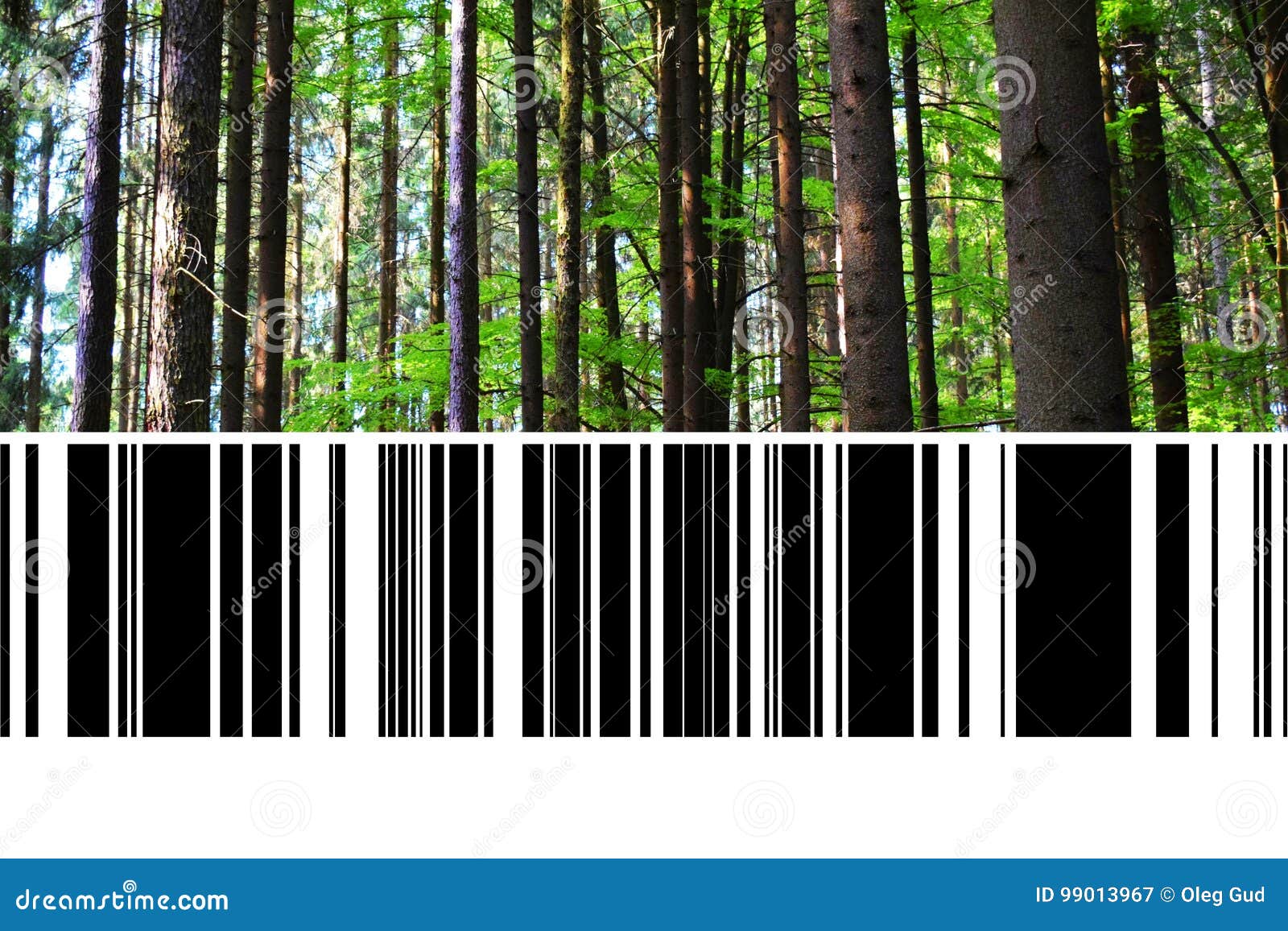 Bosque Con El Código De Barras Imagen de archivo - Imagen de viejo ...