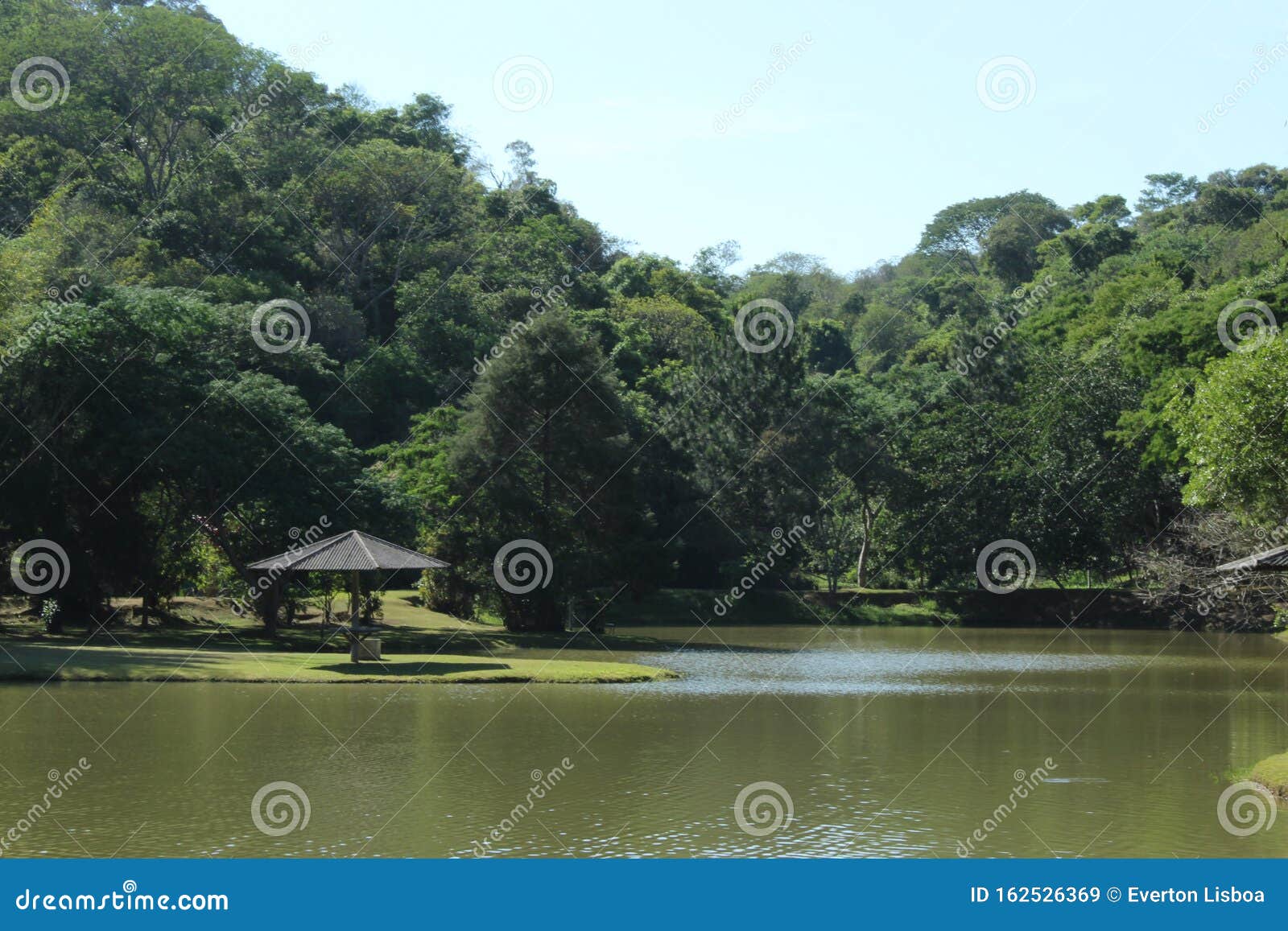Bosque con un lago imagen de archivo. Imagen de agua - 162526369