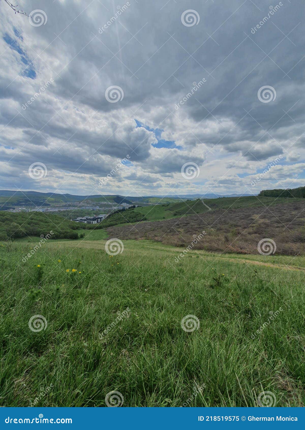 Bosque de hoia baciu imagen de archivo. Imagen de paisaje - 218519575