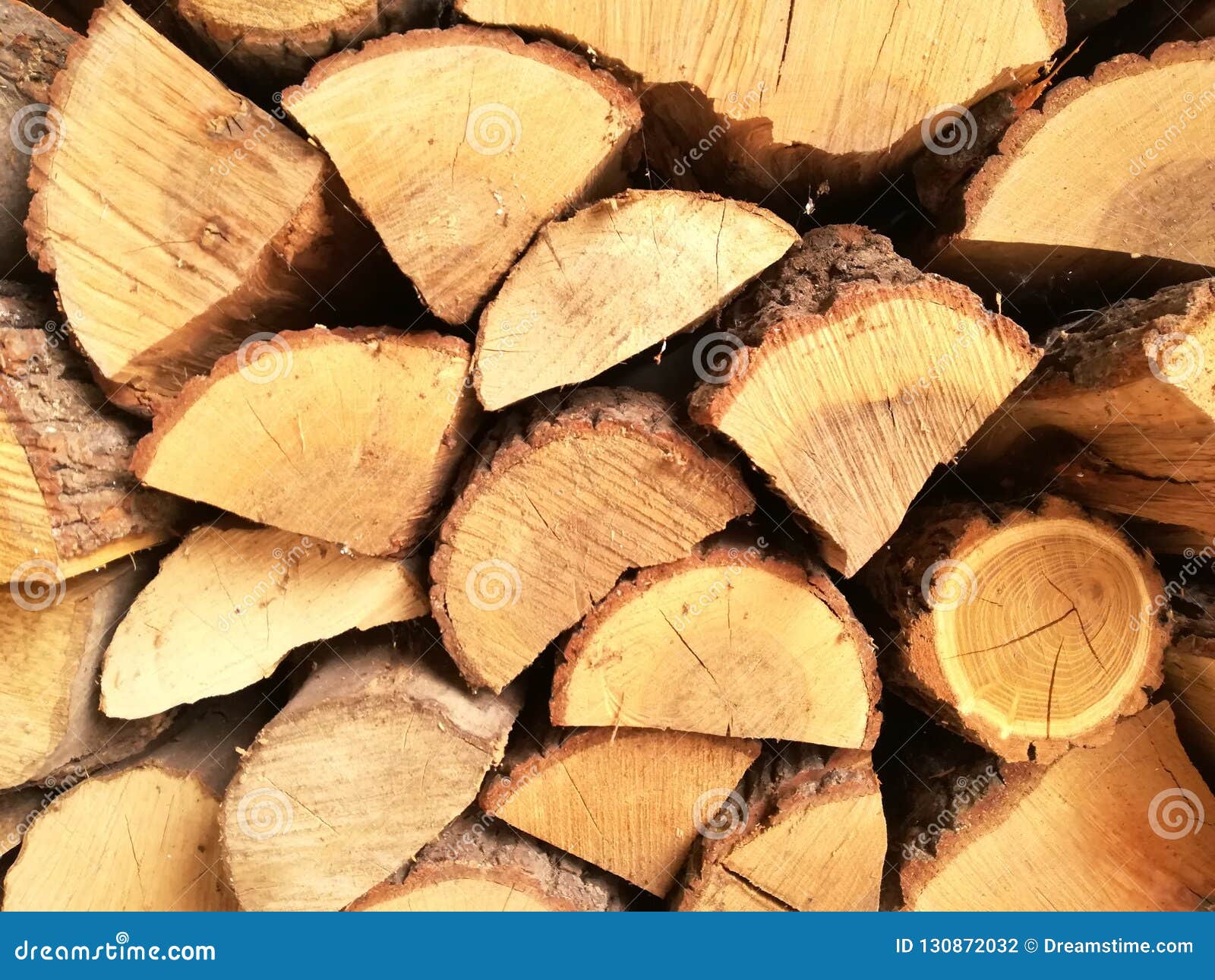 Bosque De Madera En El Bosque Foto de archivo - Imagen de preparado ...