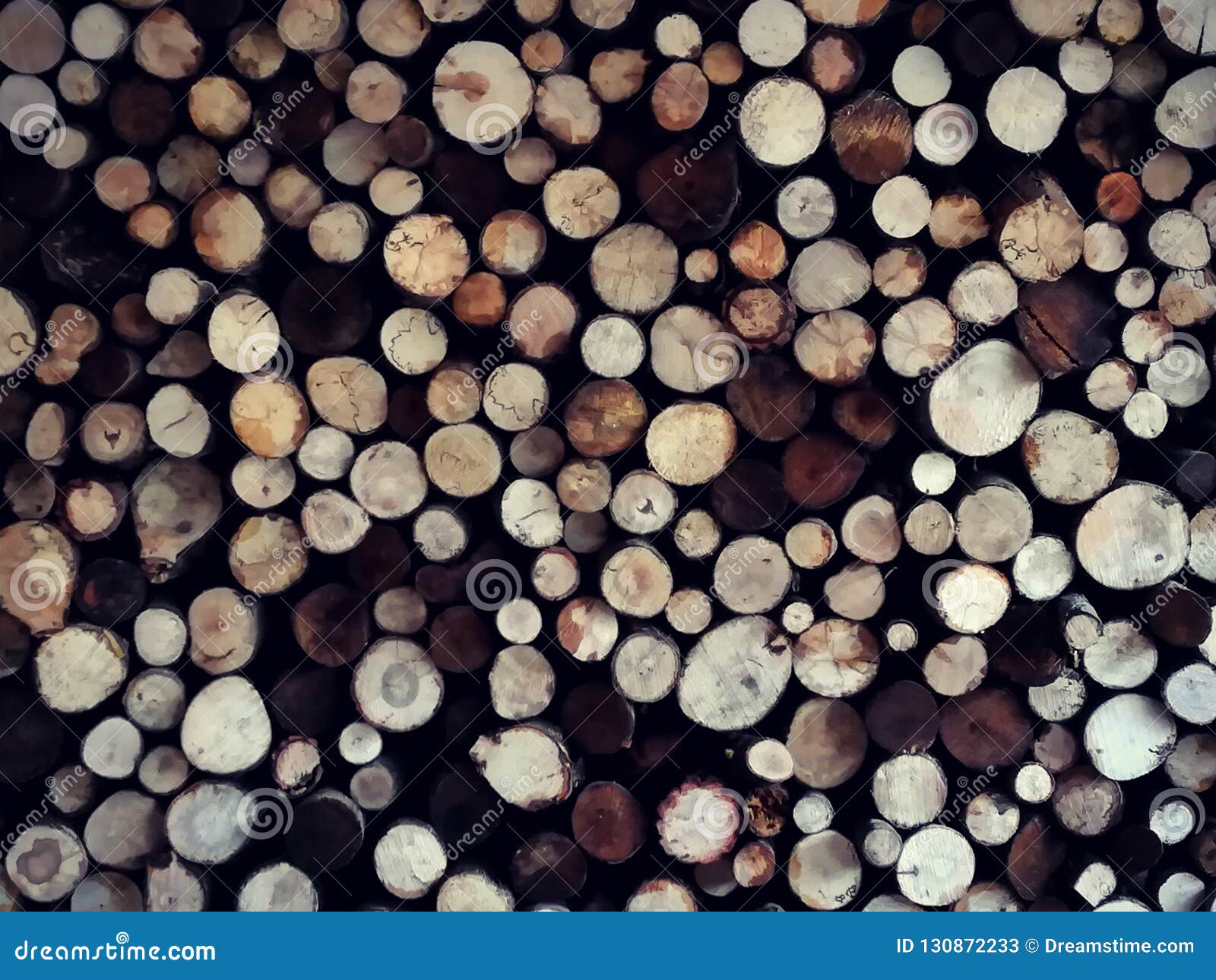 Bosque De Madera En La Parte 2 De Maderas Imagen de archivo - Imagen de ...