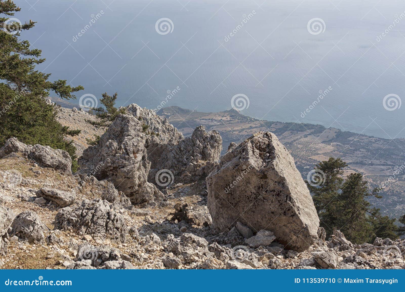 Bosque en la isla foto de archivo. Imagen de roca, verano - 113539710