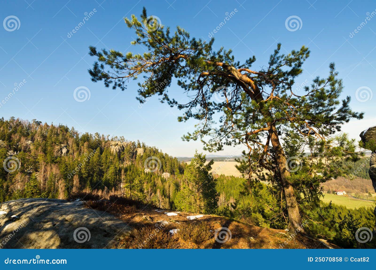 Bosque rocoso foto de archivo. Imagen de verano, rocoso - 25070858