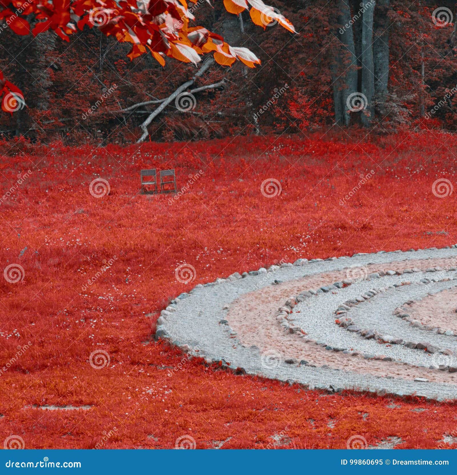 Bosque rojo imagen de archivo. Imagen de camino, hierba - 99860695
