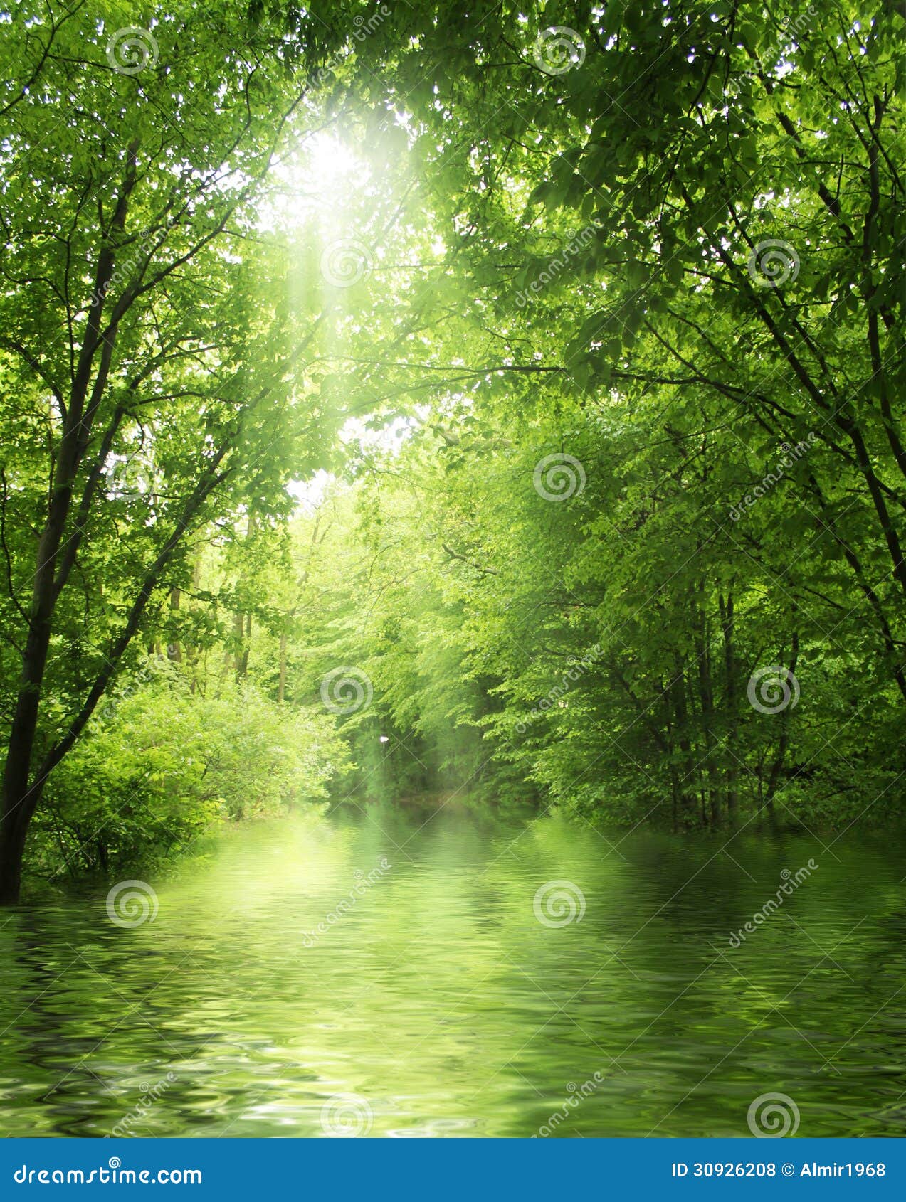 Bosque verde foto de archivo. Imagen de hermoso, libre - 30926208