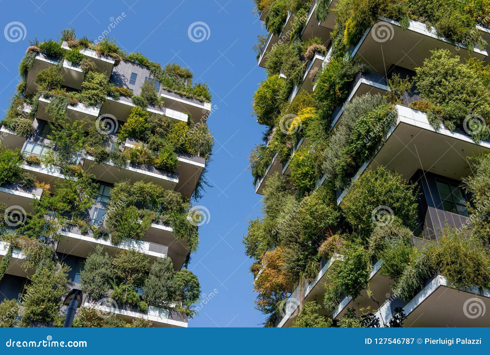 Bosque vertical fotografía editorial. Imagen de edificio - 127546787
