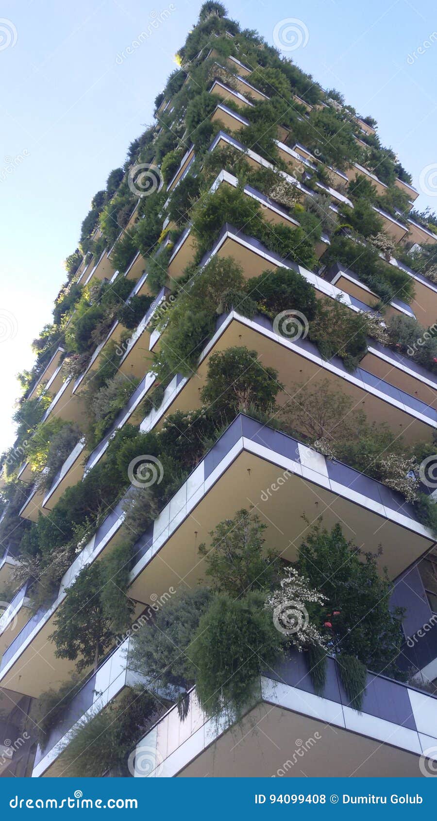 Bosque vertical foto de archivo. Imagen de resultado - 94099408