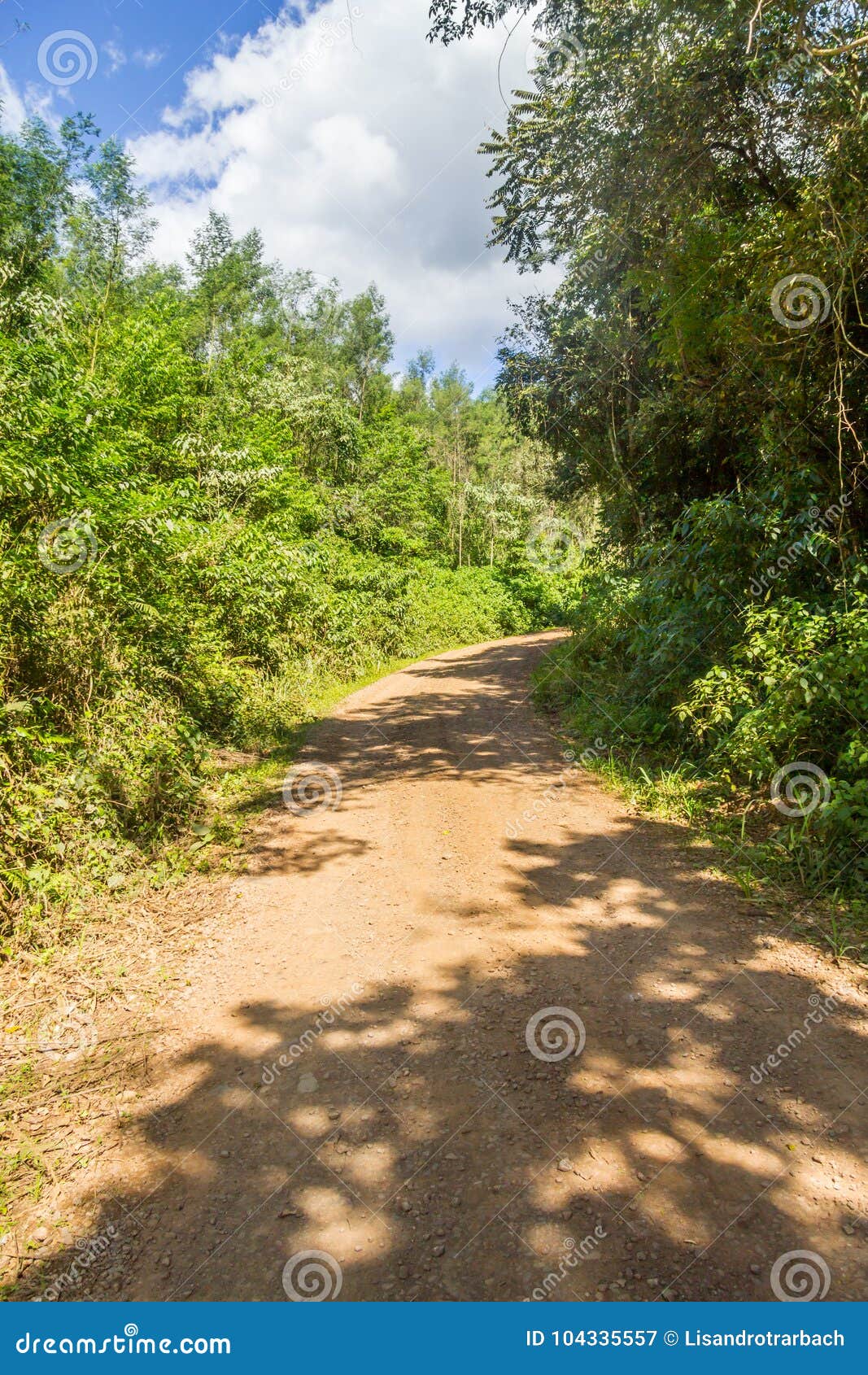 Bosque Y Camino Sucio En Gramado Imagen de archivo - Imagen de brasil ...