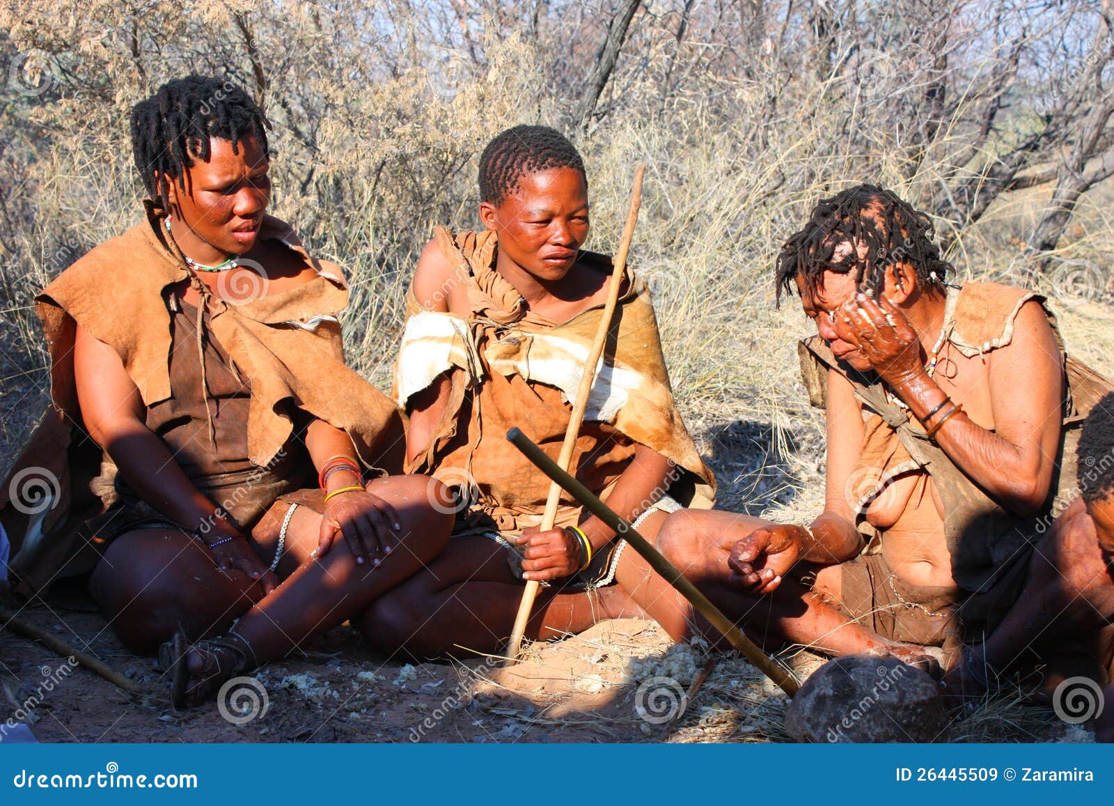 Bosquimano imagen de archivo editorial. Imagen de aldea - 26445509