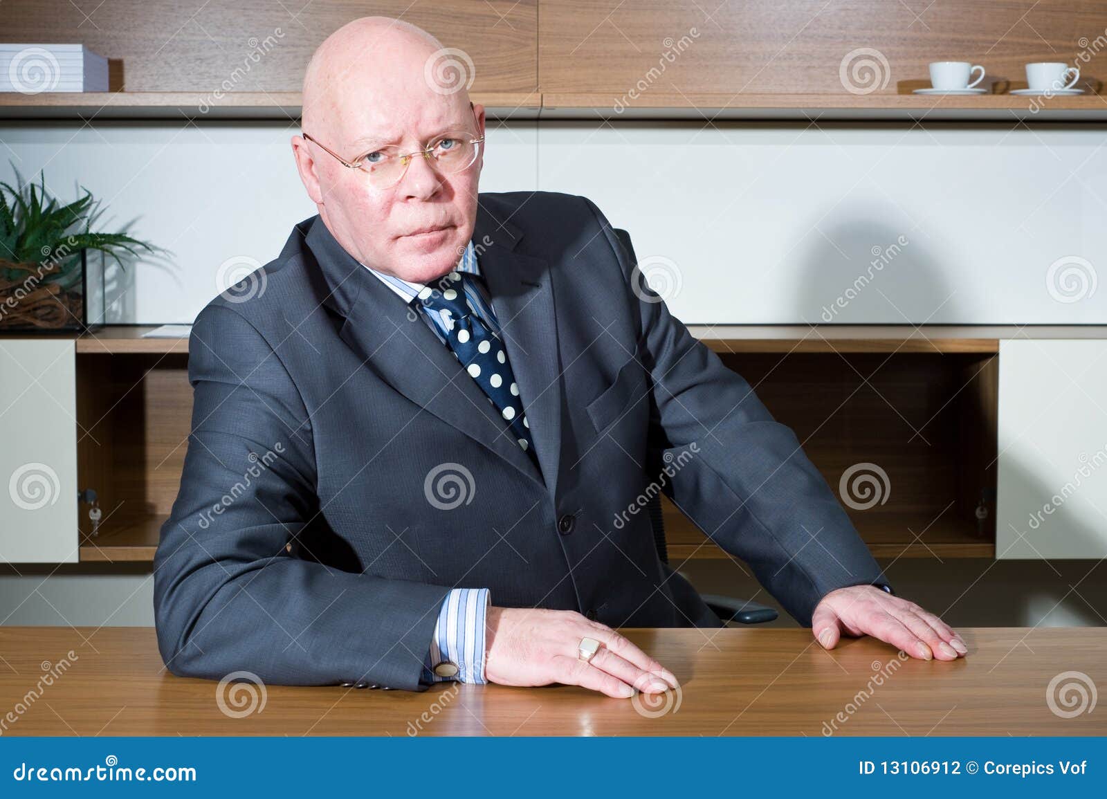Boss stock photo. Image of design, corporate, ring, boss - 13106912