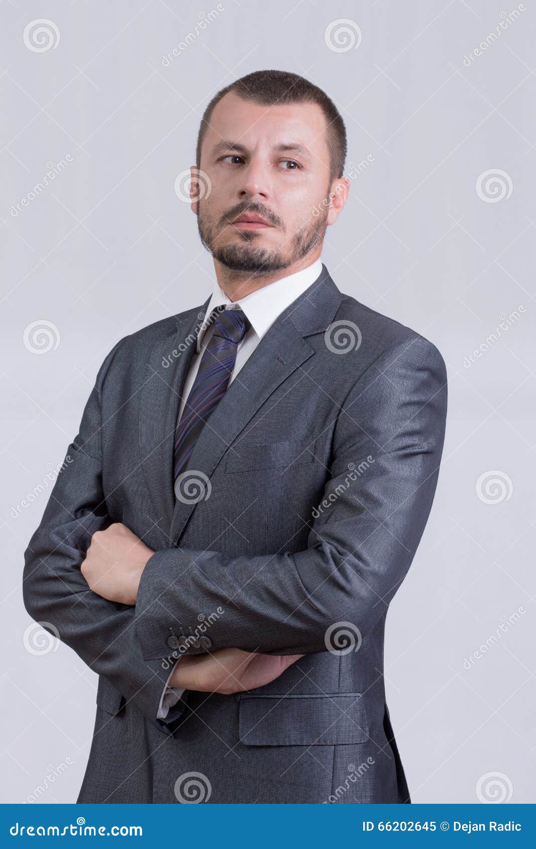 The boss stock image. Image of gorgeous, pose, clothes - 66202645