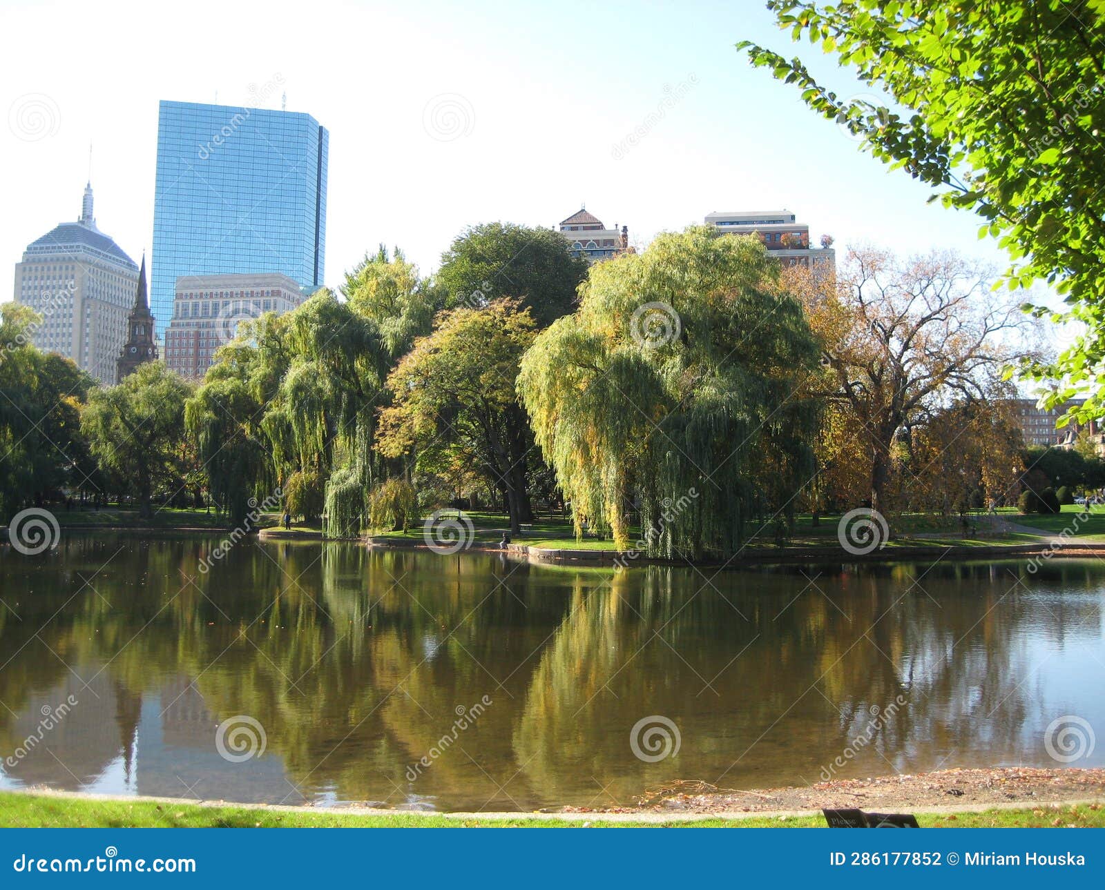Boston Common with Center in Background Stock Photo - Image of estate ...