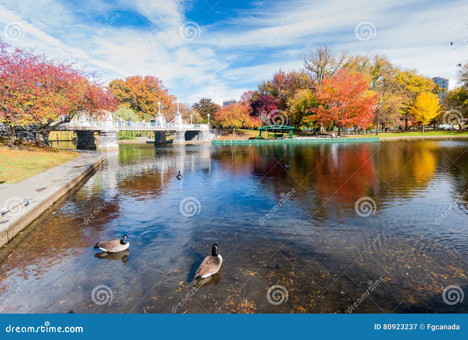 Boston Common in fall stock image. Image of location - 80923237