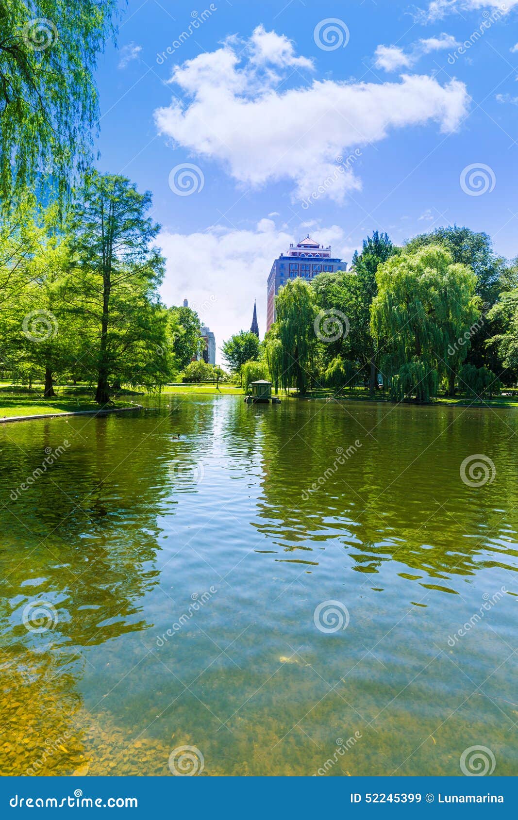 Boston Common Lake and Skyline in Massachusetts Stock Image - Image of ...