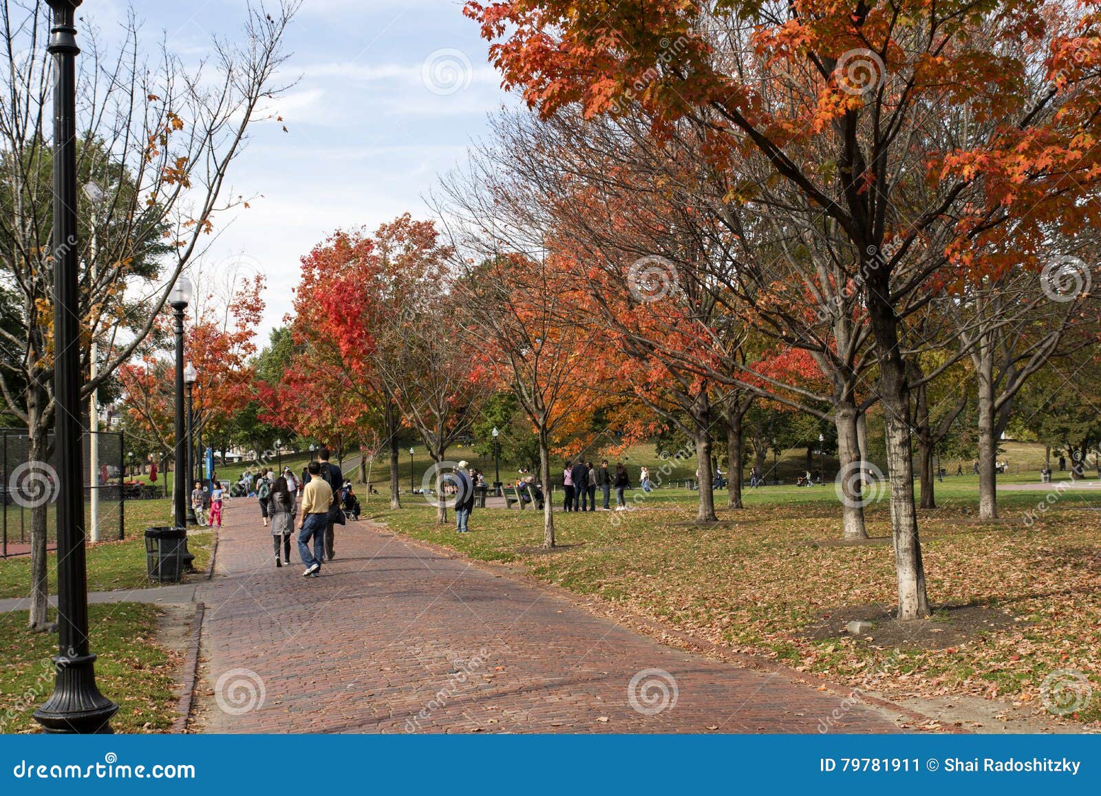 Boston Common Park editorial photo. Image of common, massachusetts ...
