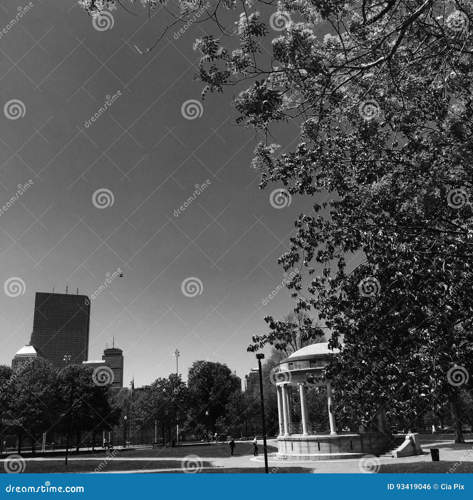 Boston Common and Parkman Bandstand Editorial Photo - Image of united ...
