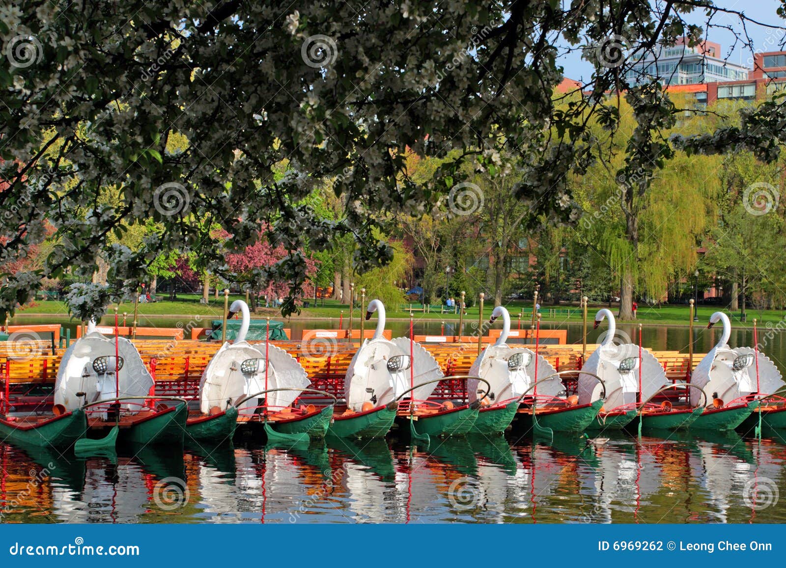 Boston Common and Public Garden, USA Editorial Photography - Image of ...