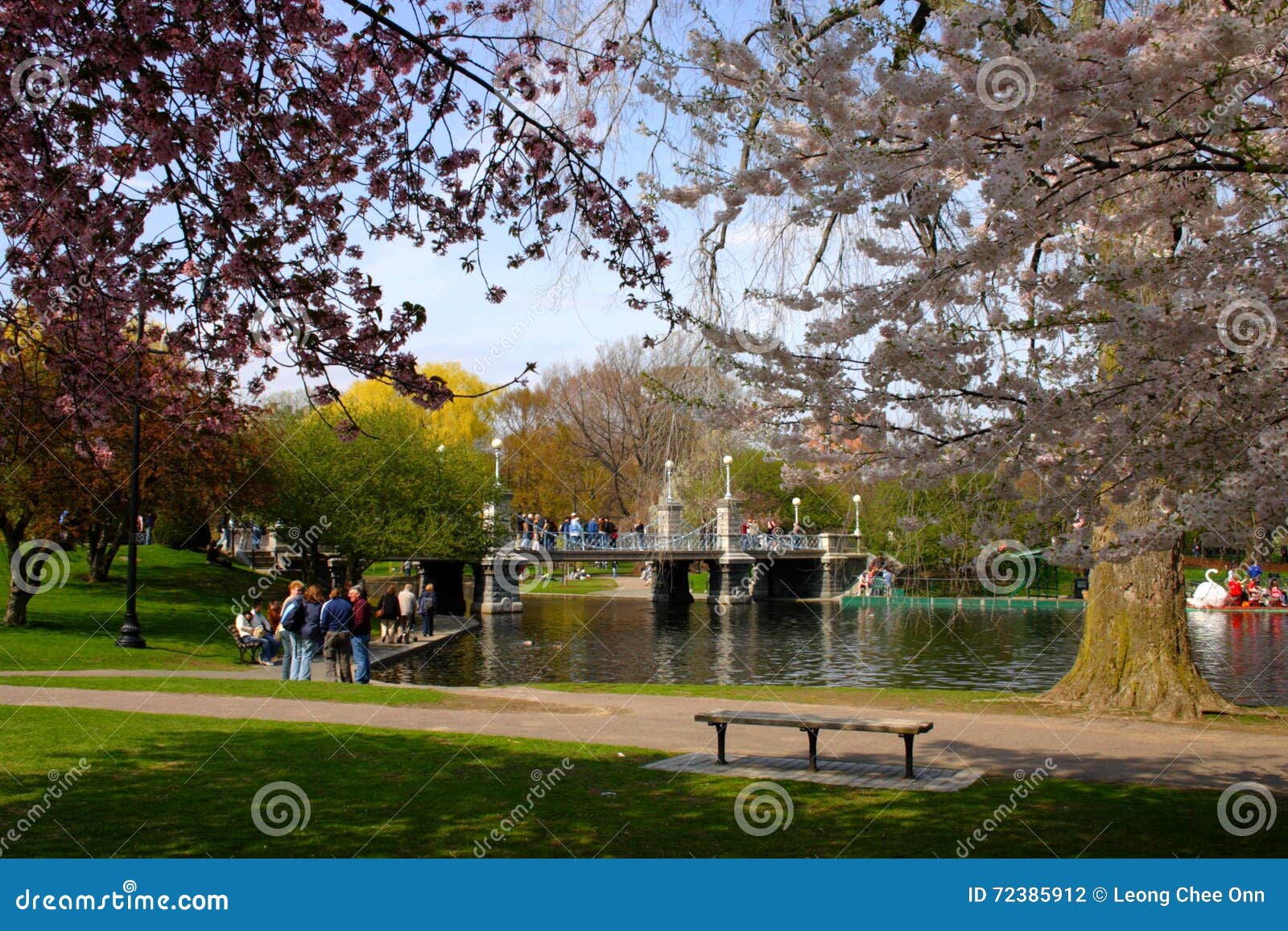 Boston Common and Public Garden, USA Editorial Photography - Image of ...