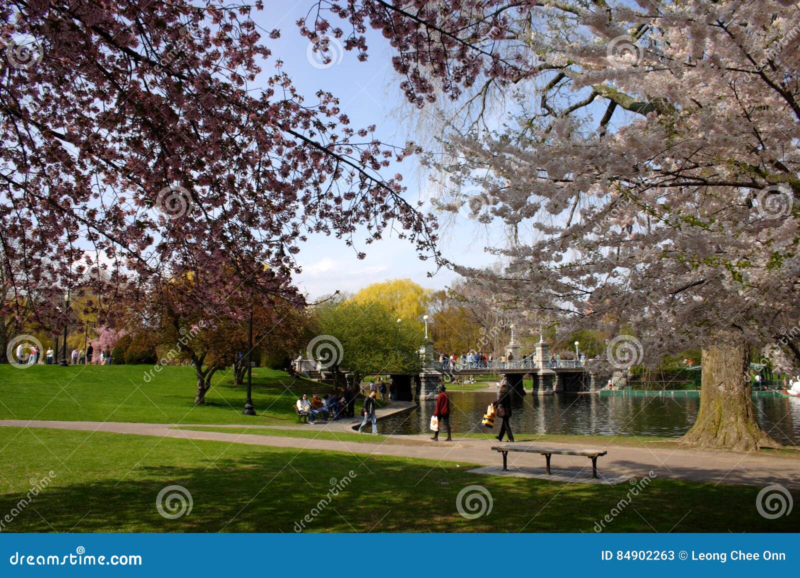Boston Common and Public Garden, USA Editorial Stock Photo - Image of ...