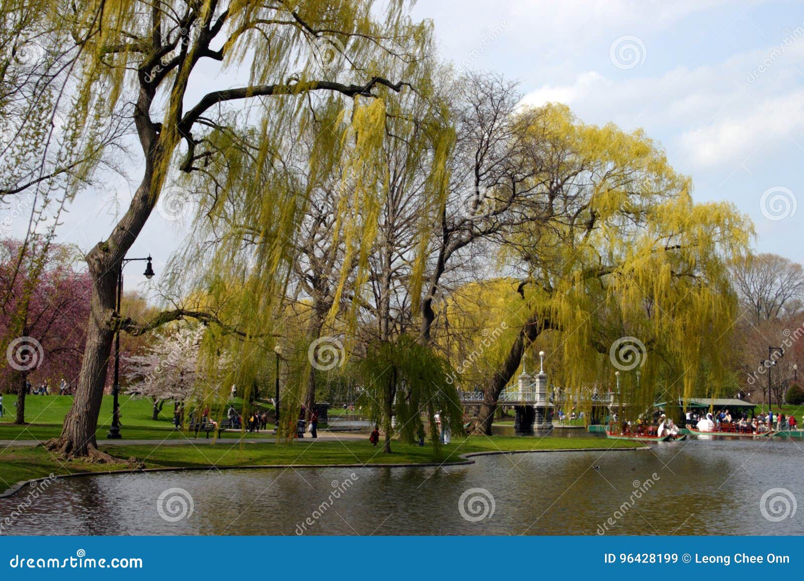 Boston Common and Public Garden, USA Stock Image - Image of blossom ...