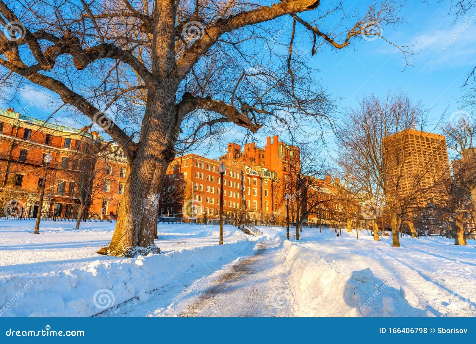Boston common at winter stock photo. Image of sightseeing - 166406798