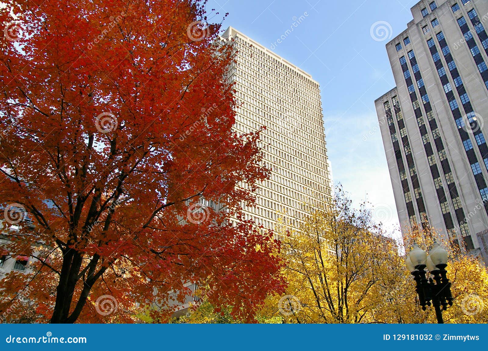 Boston fall foliage stock photo. Image of blue, downtown - 129181032