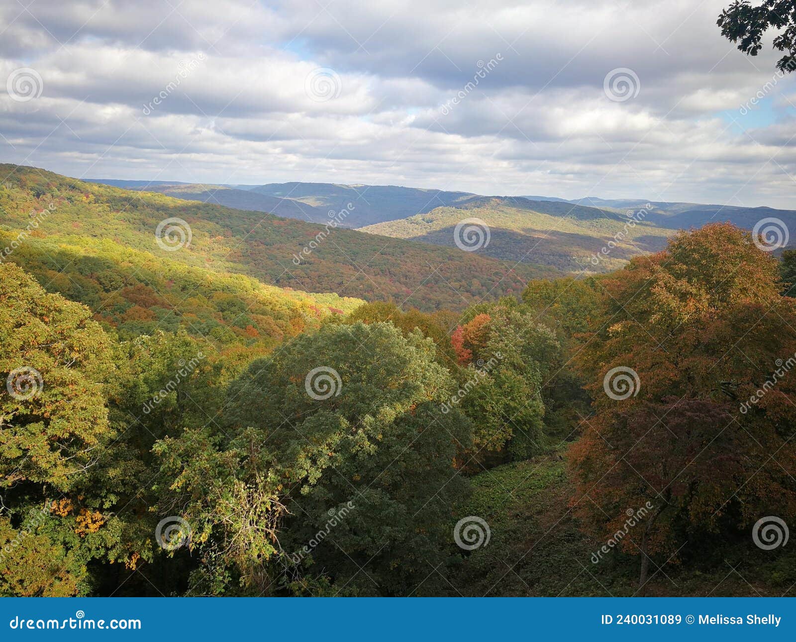 Boston Mountains stock image. Image of boston, mountains - 240031089